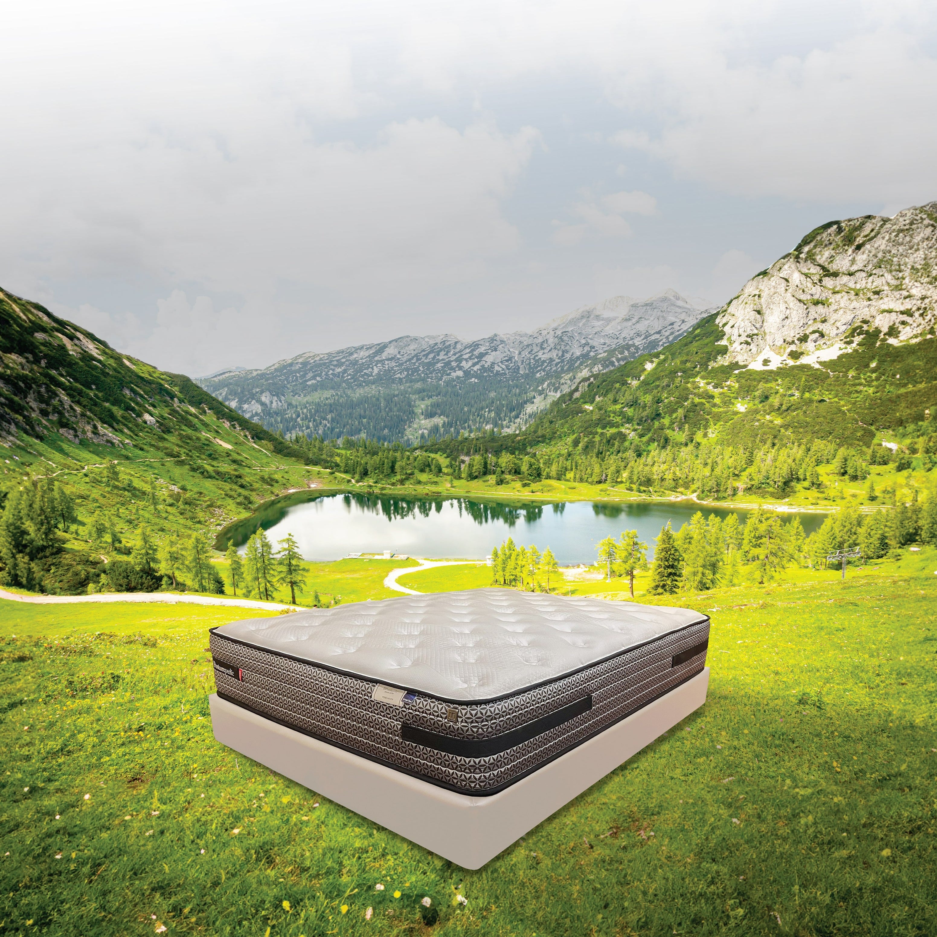 Elevate Ultra - Sealy Singapore